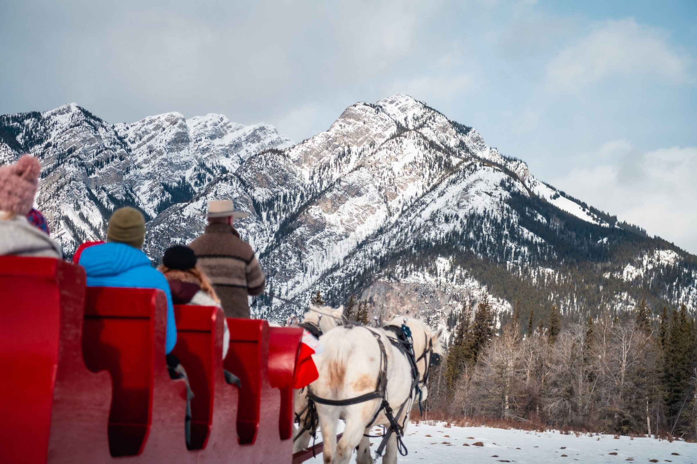 Ho, Ho, Holiday Fun for Families: Banff Sleigh Rides 2023 | Banff ...