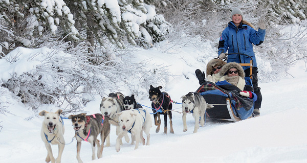 Sled Dogs, Snowflakes and Stunning Sights: Banff Dog Sledding | Banff ...