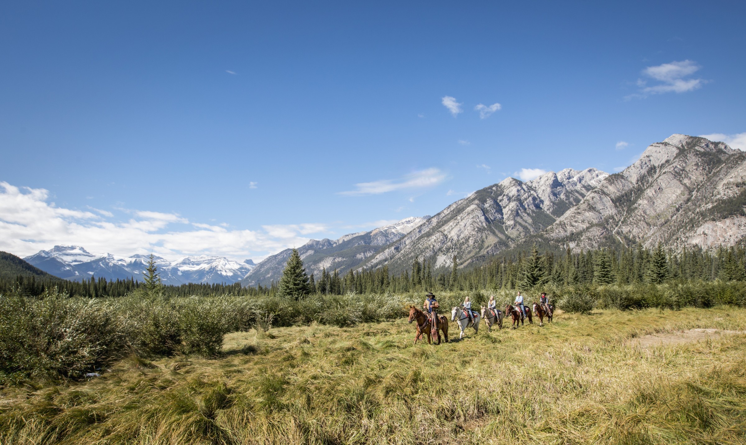 Banff Horseback Riding: What to Know and How to Prepare | Banff Adventures