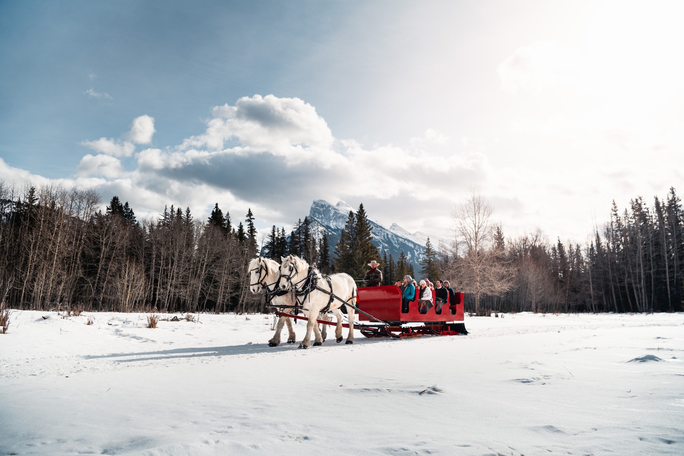 Dashing The Snow: Discover the Magic of Sleigh Rides | Banff Adventures