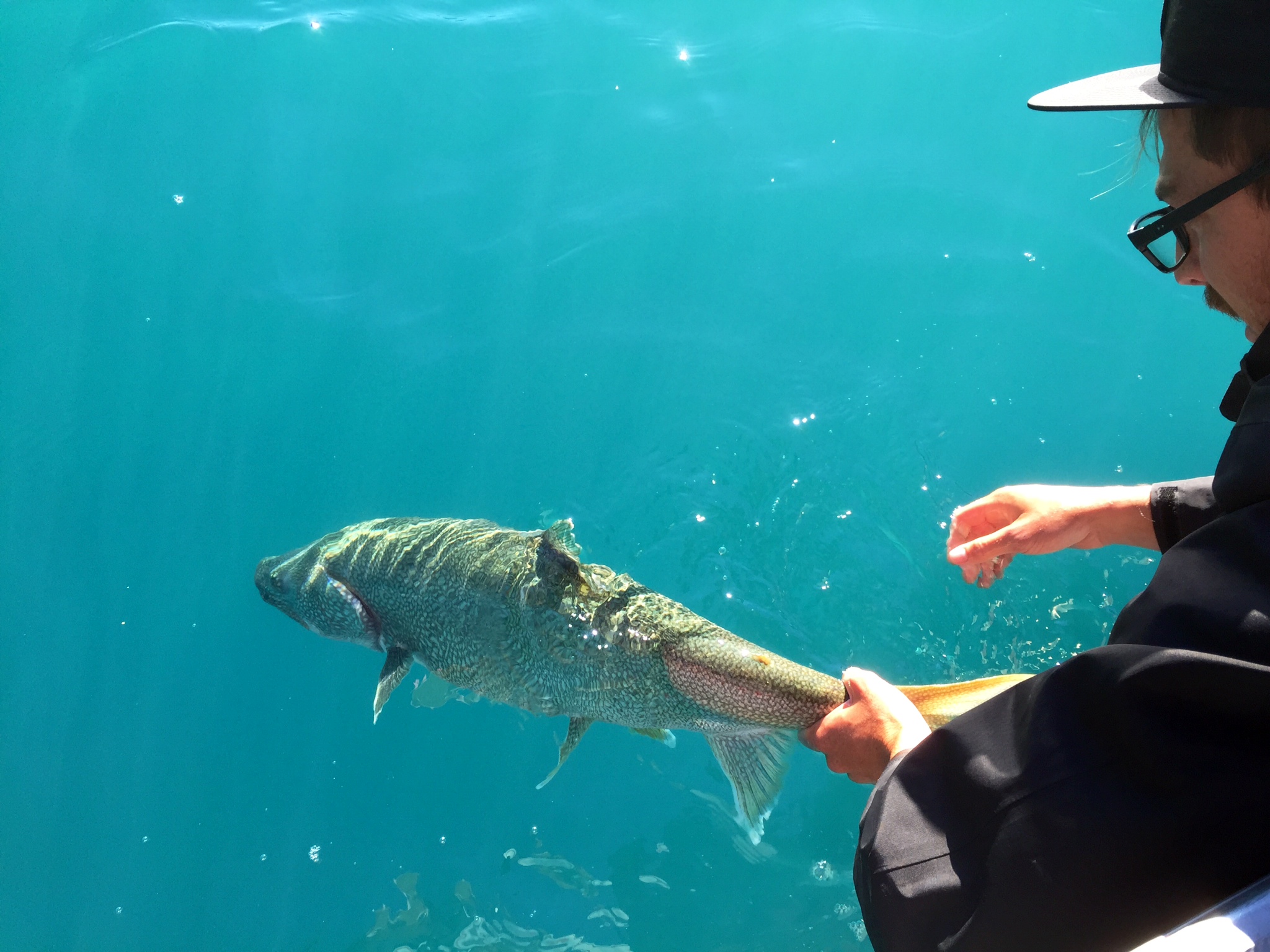 Family Fun Adventures in Banff | Banff Adventures