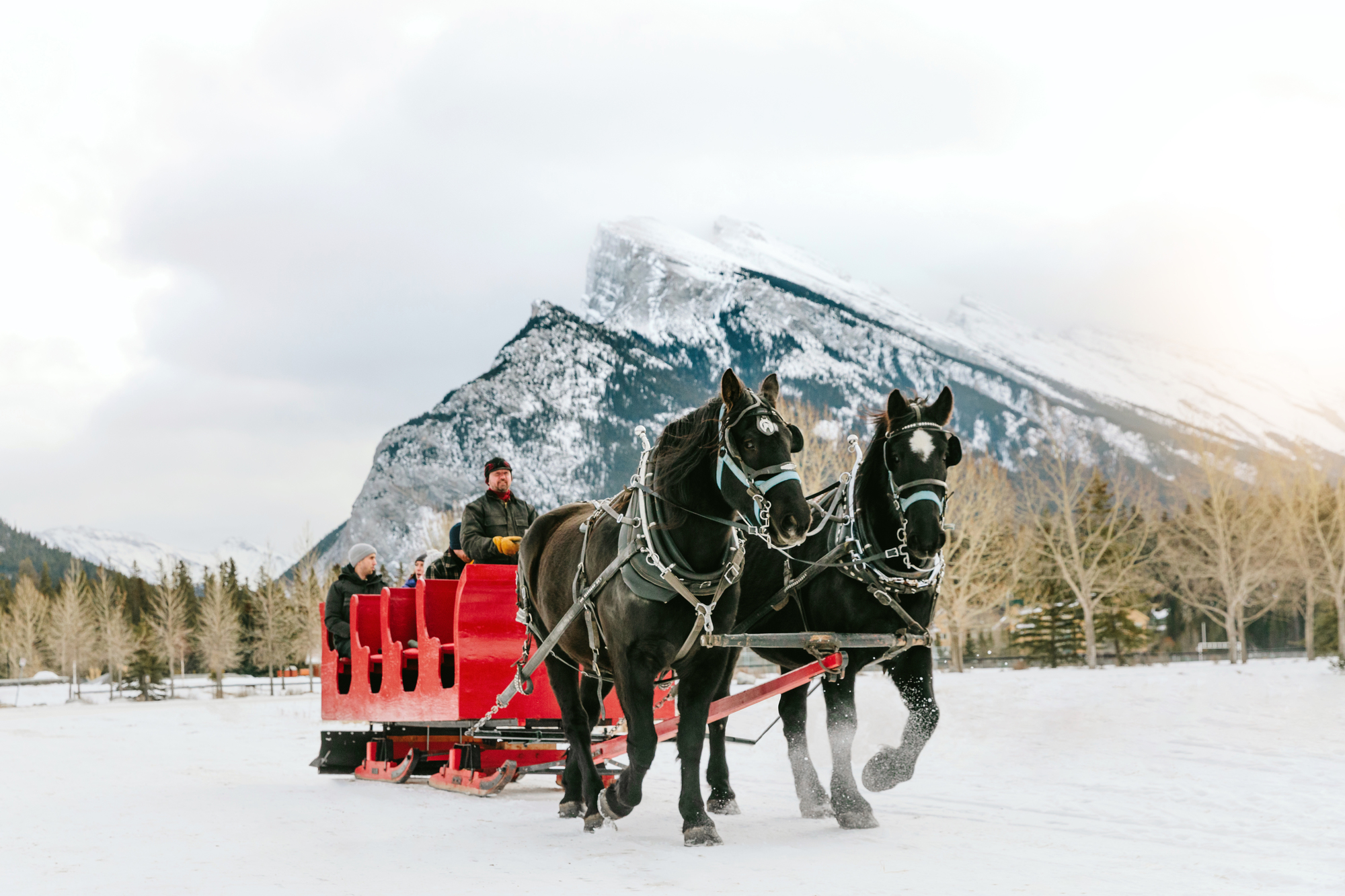 Make the Most of Winter with Banff Adventures Winter Packages | Banff ...