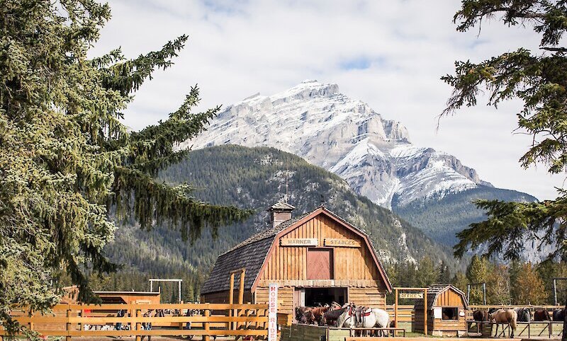 Mountain Spotting: A Brief Guide to Banff’s Mountain Ranges | Banff ...