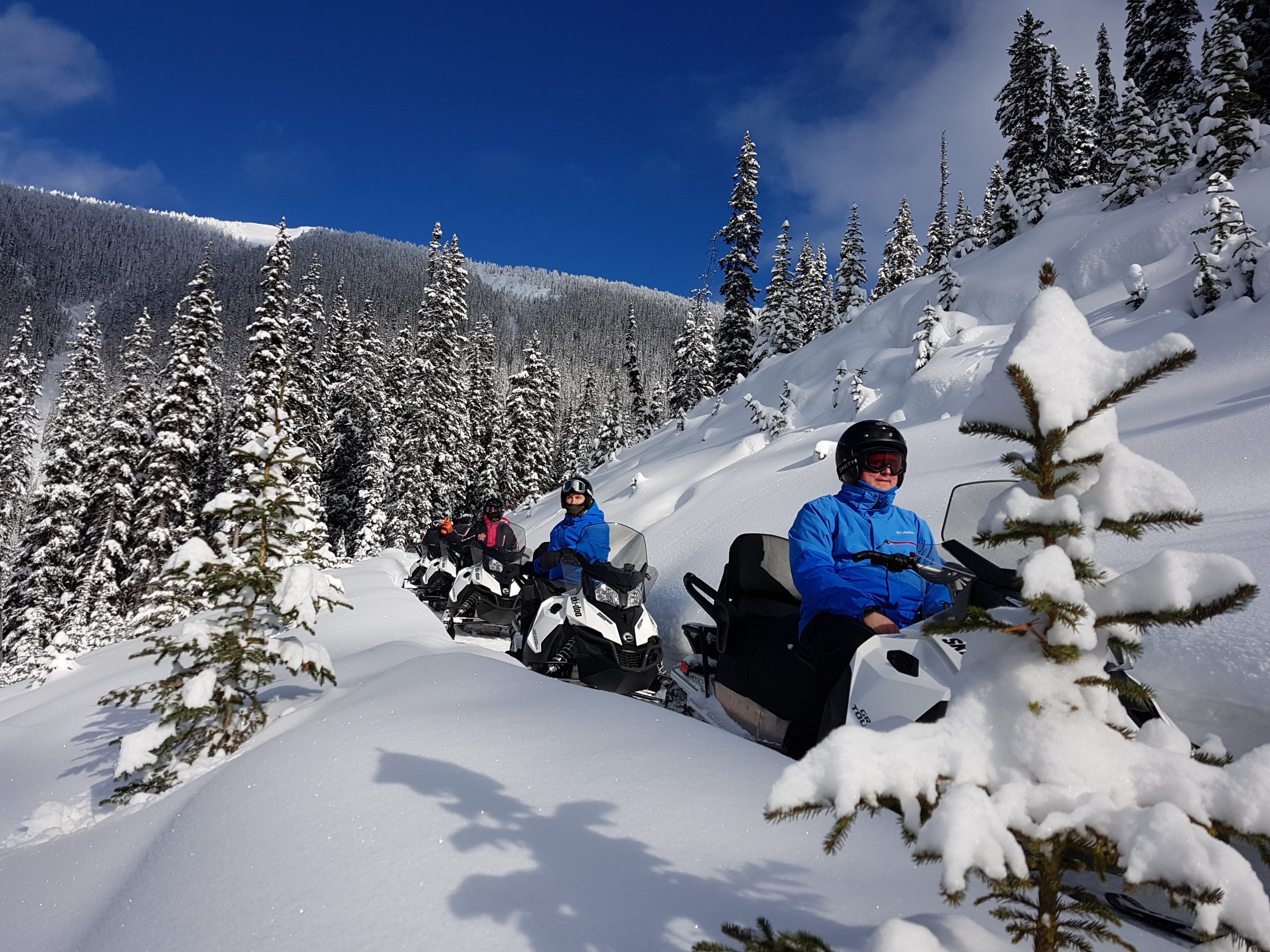 Snowmobile Tours - Golden | Banff Adventures